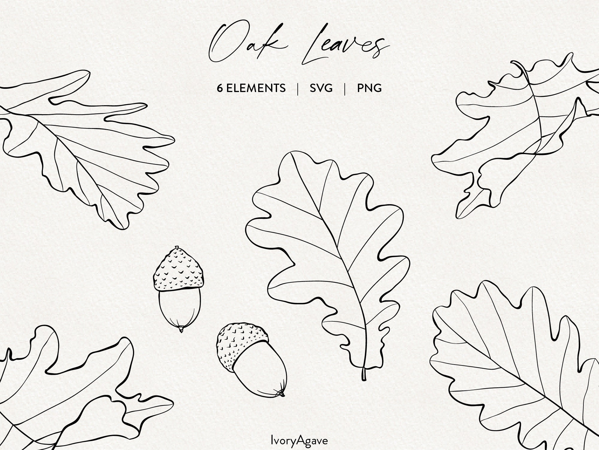 Fall Foliage Oak Leaves Line Art Clipart | Hand Drawn Vector | Fine ...