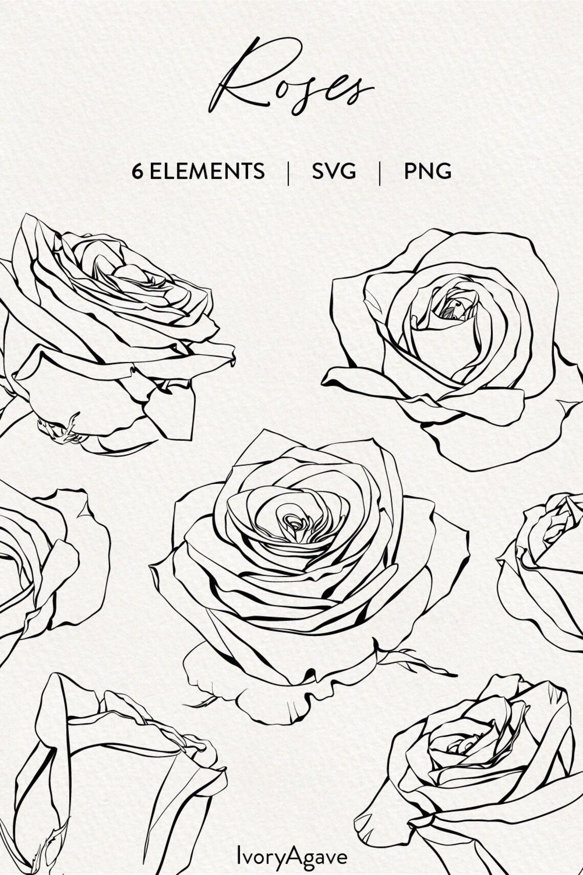 Rose Line Art Clipart | Botanical Flower Hand Drawn Illustration ...