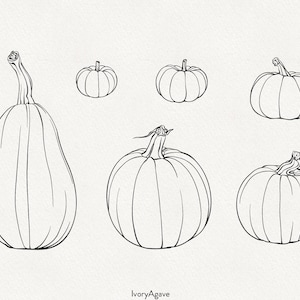 Fall Pumpkins Line Art Clipart | Hand Drawn Vector | Autumn Fine Line ...