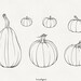 Fall Pumpkins Line Art Clipart | Hand Drawn Vector | Autumn Fine Line ...