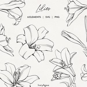 Easter Lily Flowers Line Art Clipart Modern Spring Easter Florals Hand ...