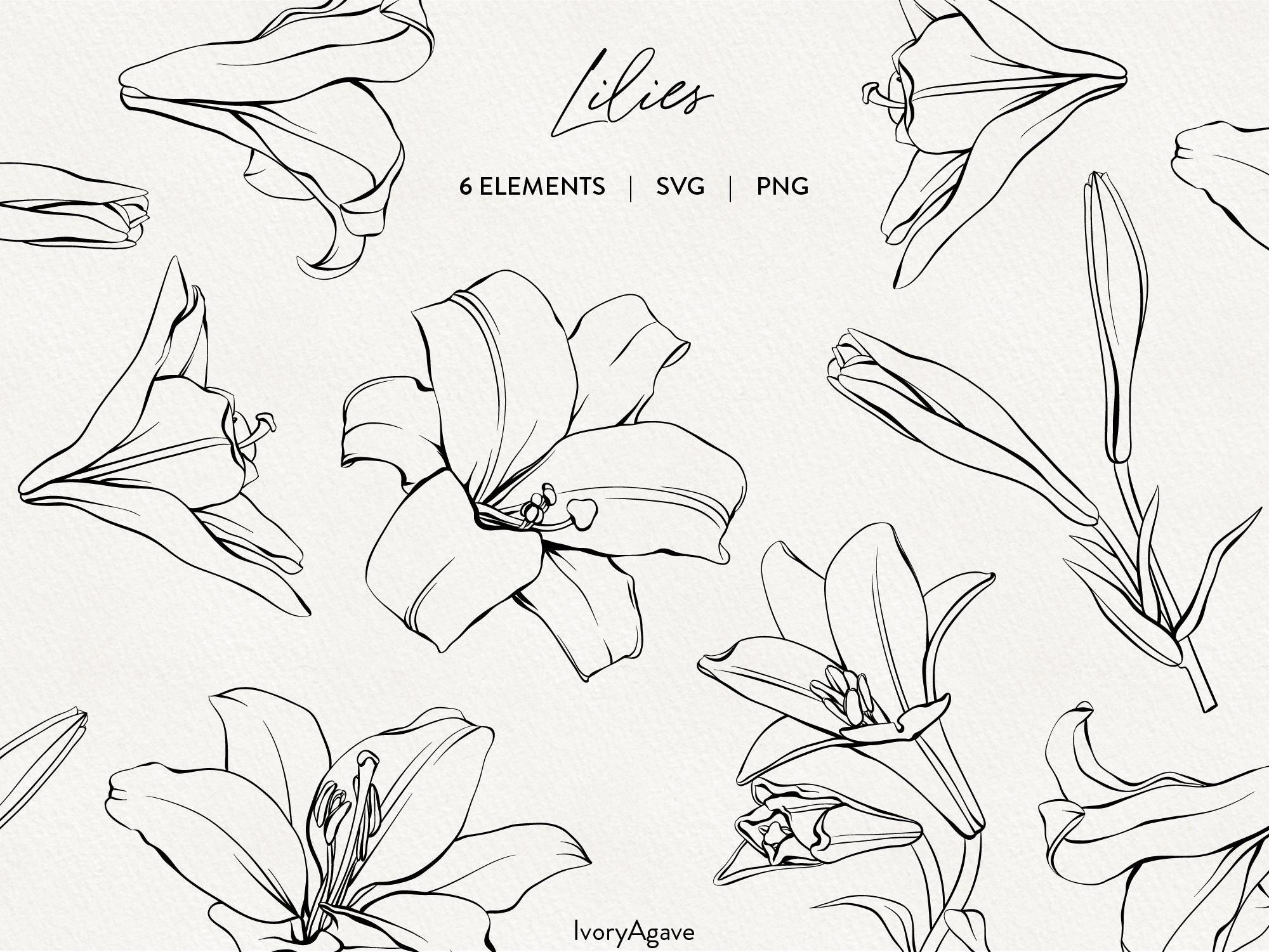 Easter Lily Flowers Line Art Clipart Modern Spring Easter Florals Hand ...