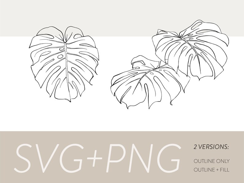 Monstera Line Art Clipart | Summer Tropical Leaves Botanical Hand Drawn ...