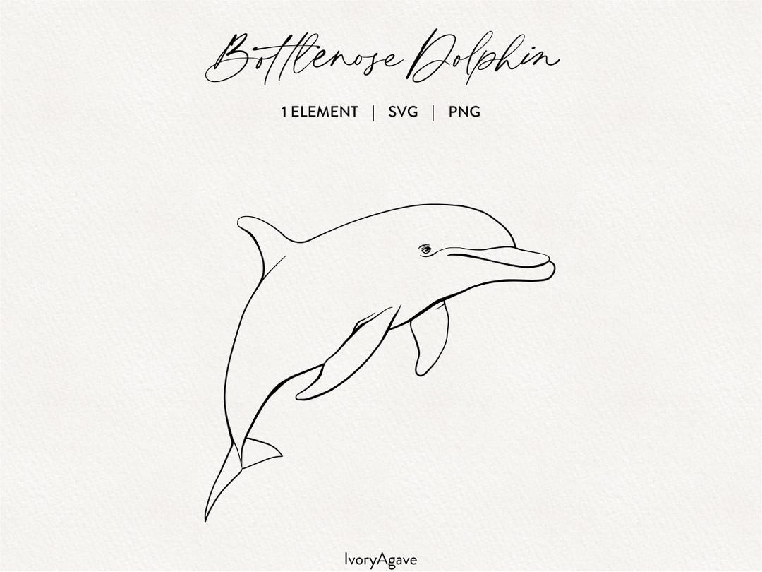 Bottlenose Dolphin Line Art Drawing Graphics Ocean Summer Sea Life Hand ...