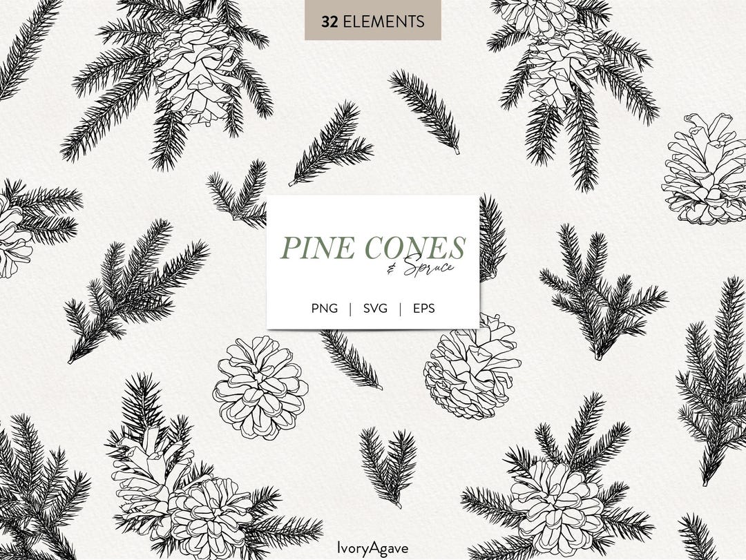 Pine Cones and Spruce Branches Line Art Clipart Graphic | Winter ...