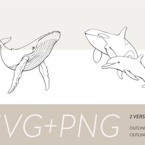 Ocean Animals Line Art Drawing Graphics Marine Summer Sea Life Hand ...