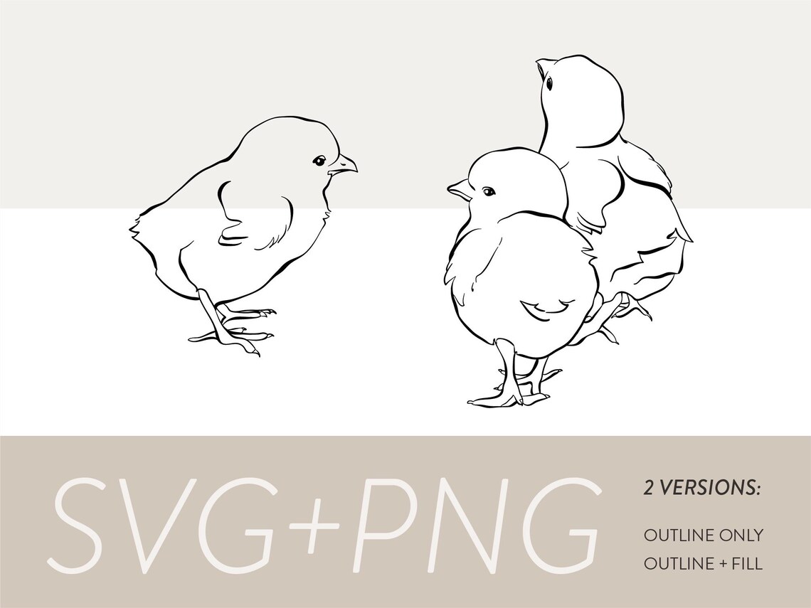 Cute Baby Chicks Line Art Clipart Modern Spring Easter Hand Drawn ...
