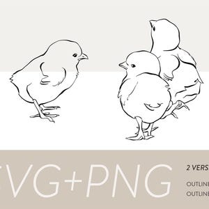 Cute Baby Chicks Line Art Clipart Modern Spring Easter Hand Drawn ...