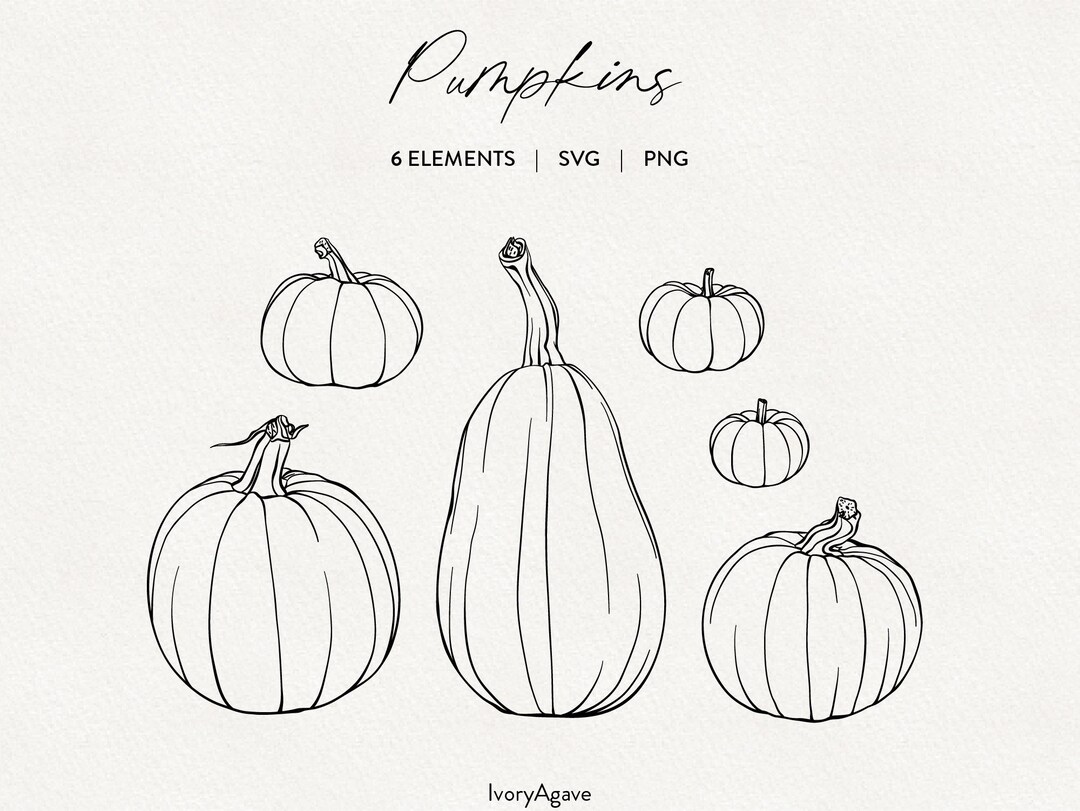 Fall Pumpkins Line Art Clipart | Hand Drawn Vector | Autumn Fine Line ...