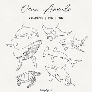Ocean Animals Line Art Drawing Graphics Marine Summer Sea Life Hand ...