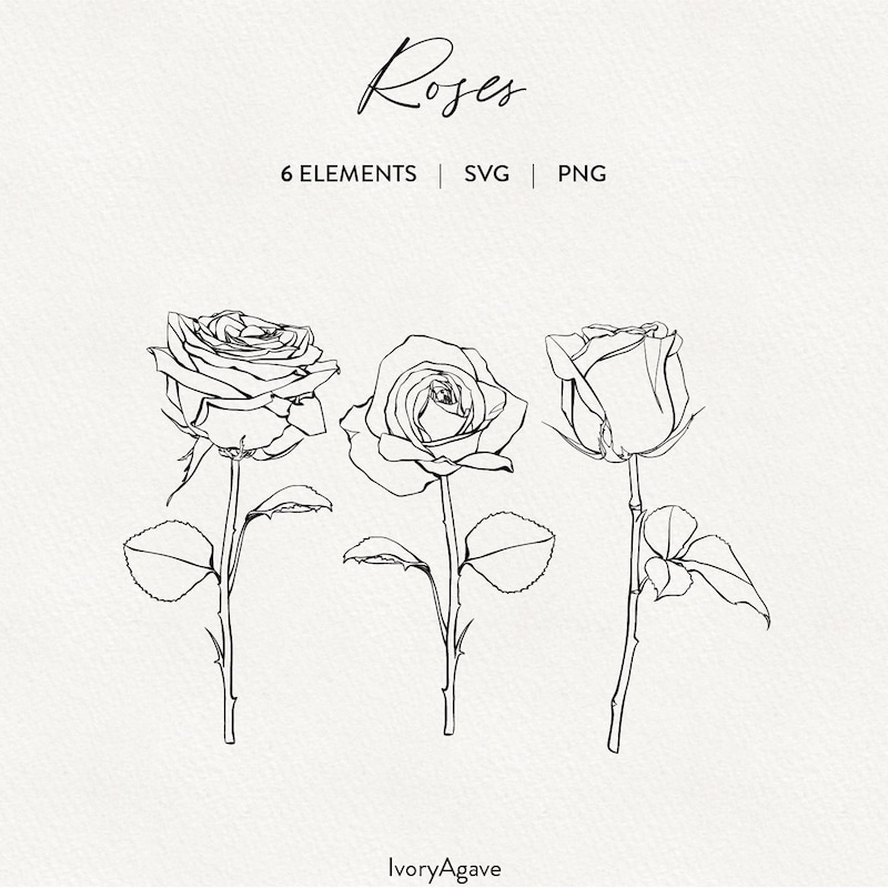 Rose Line Drawing - Etsy