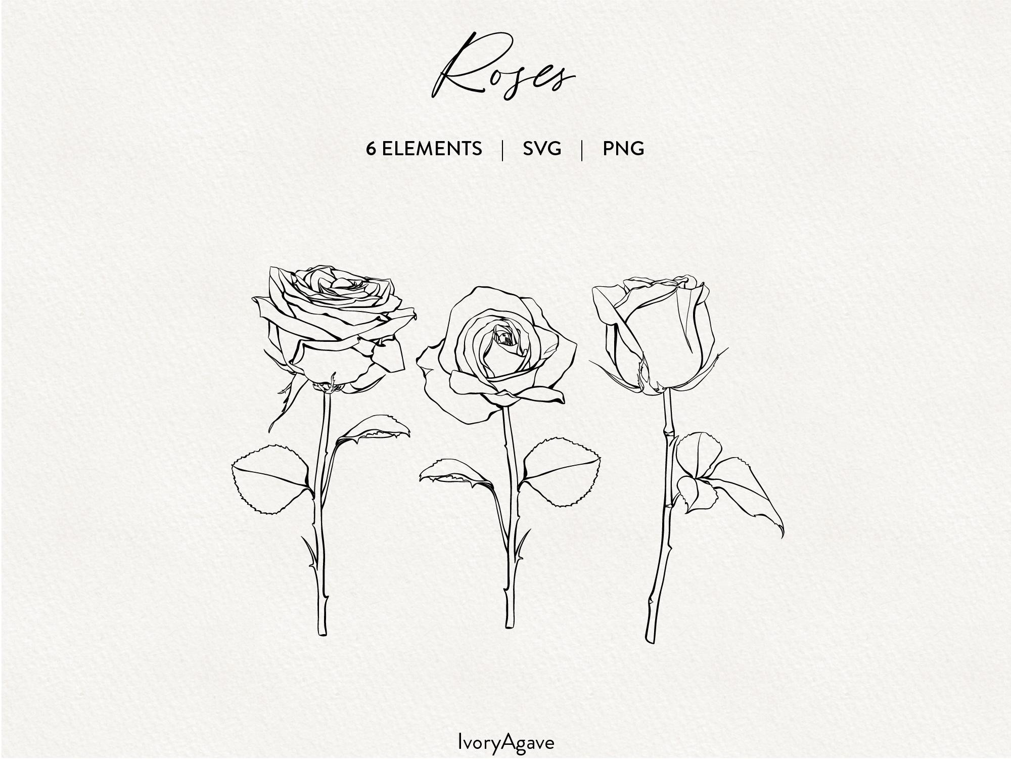 Valentine Rose With Stem Line Art Clipart Botanical Flower Hand Drawn ...