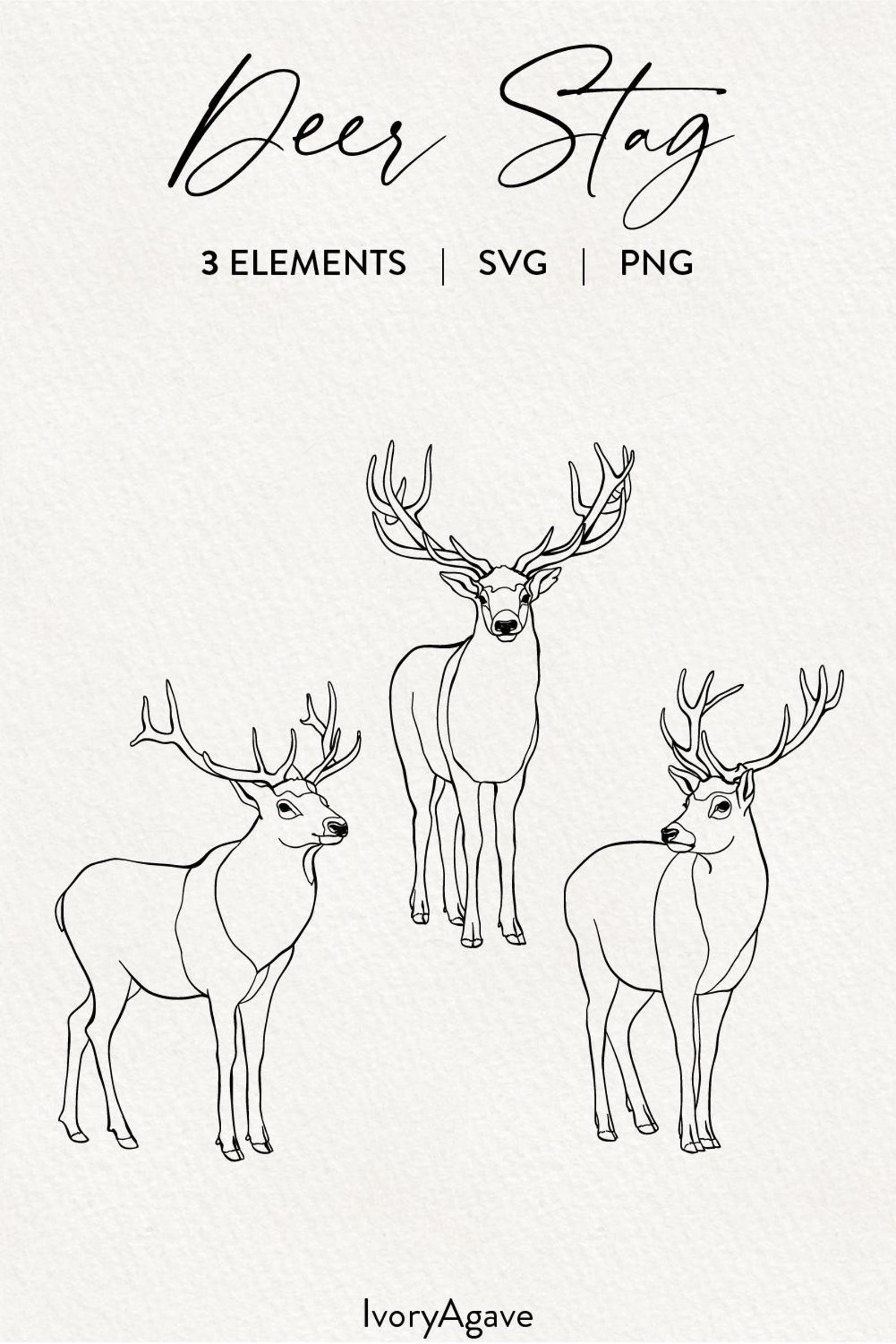 Deer Stag Line Art Clipart | Winter Holiday Woodland Animal Hand Drawn ...
