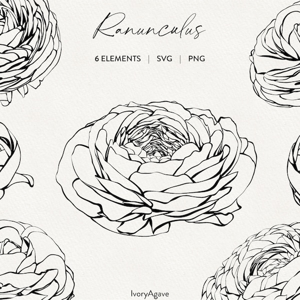 Ranunculus Art - Etsy
