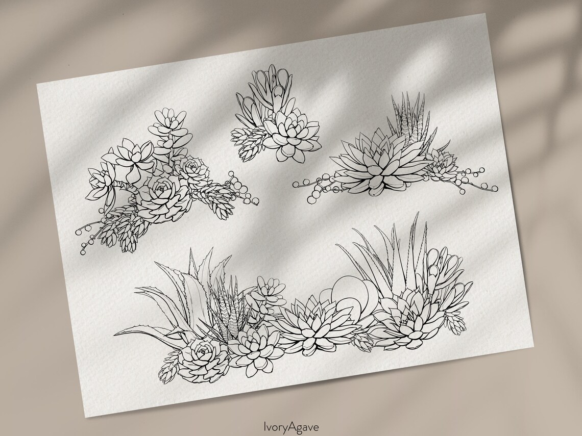 Succulent Garden Line Art Clipart | Summer Botanical Flower Hand Drawn ...