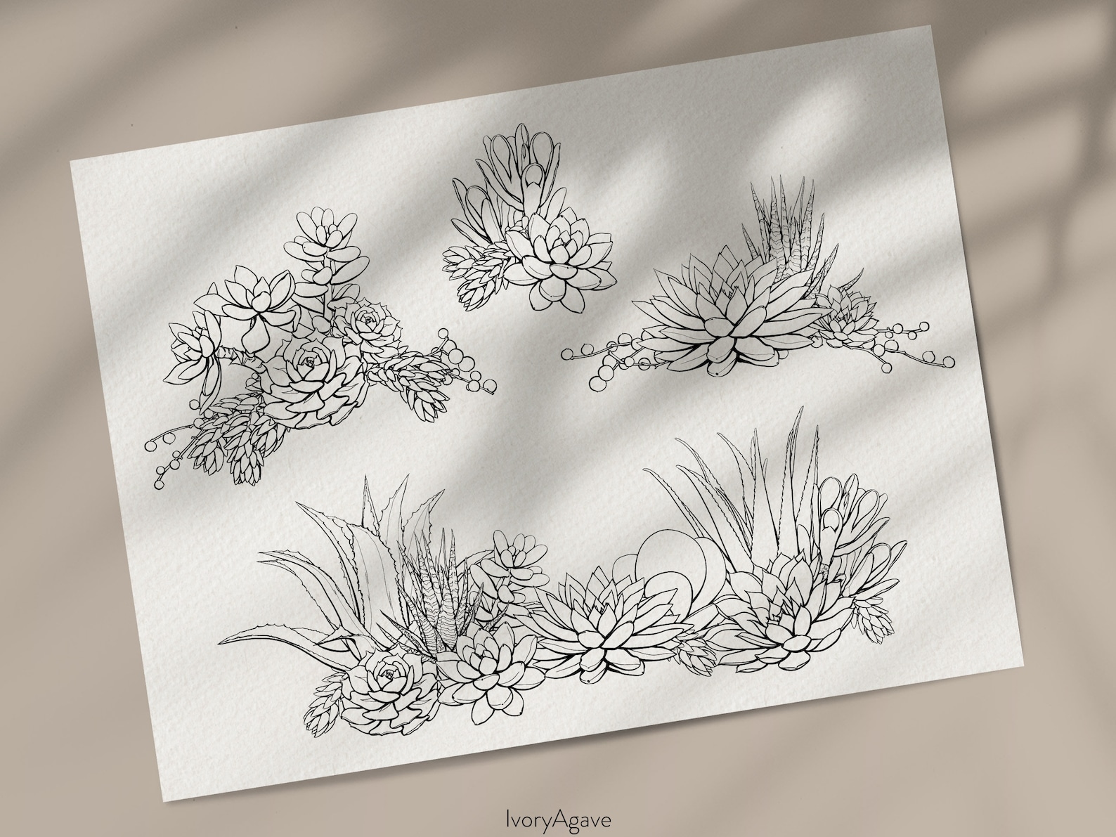 Succulent Garden Line Art Clipart | Summer Botanical Flower Hand Drawn ...