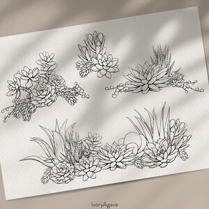 Succulent Garden Line Art Clipart | Summer Botanical Flower Hand Drawn ...