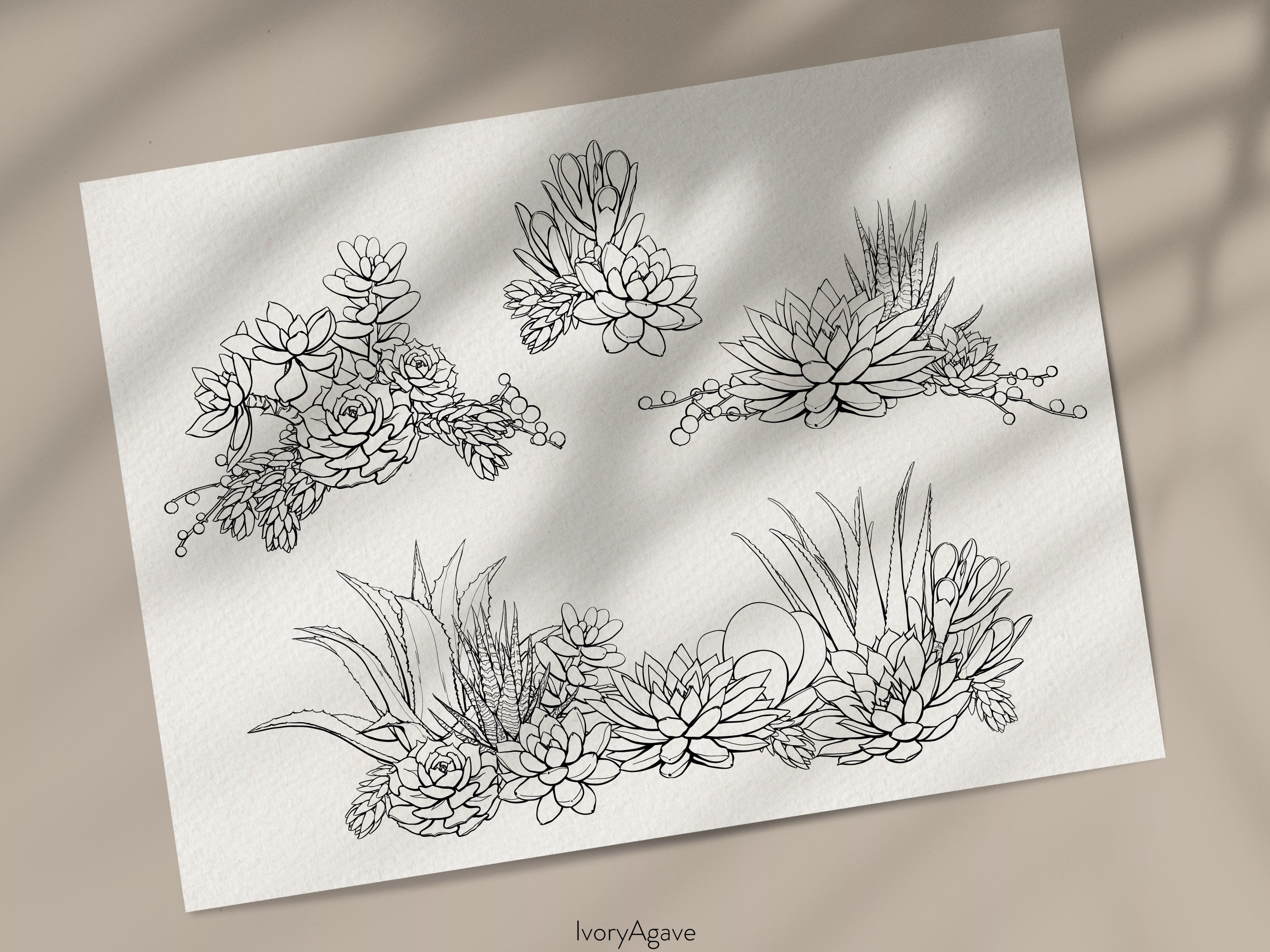 Succulent Garden Line Art Clipart | Summer Botanical Flower Hand Drawn ...