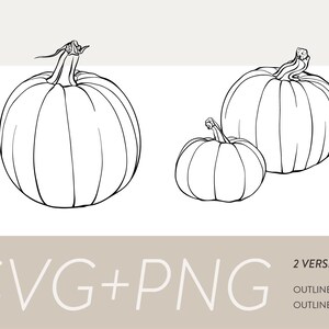 Fall Pumpkin Patch Line Art Clipart | Autumn Pumpkins Vines Leaves Hand ...