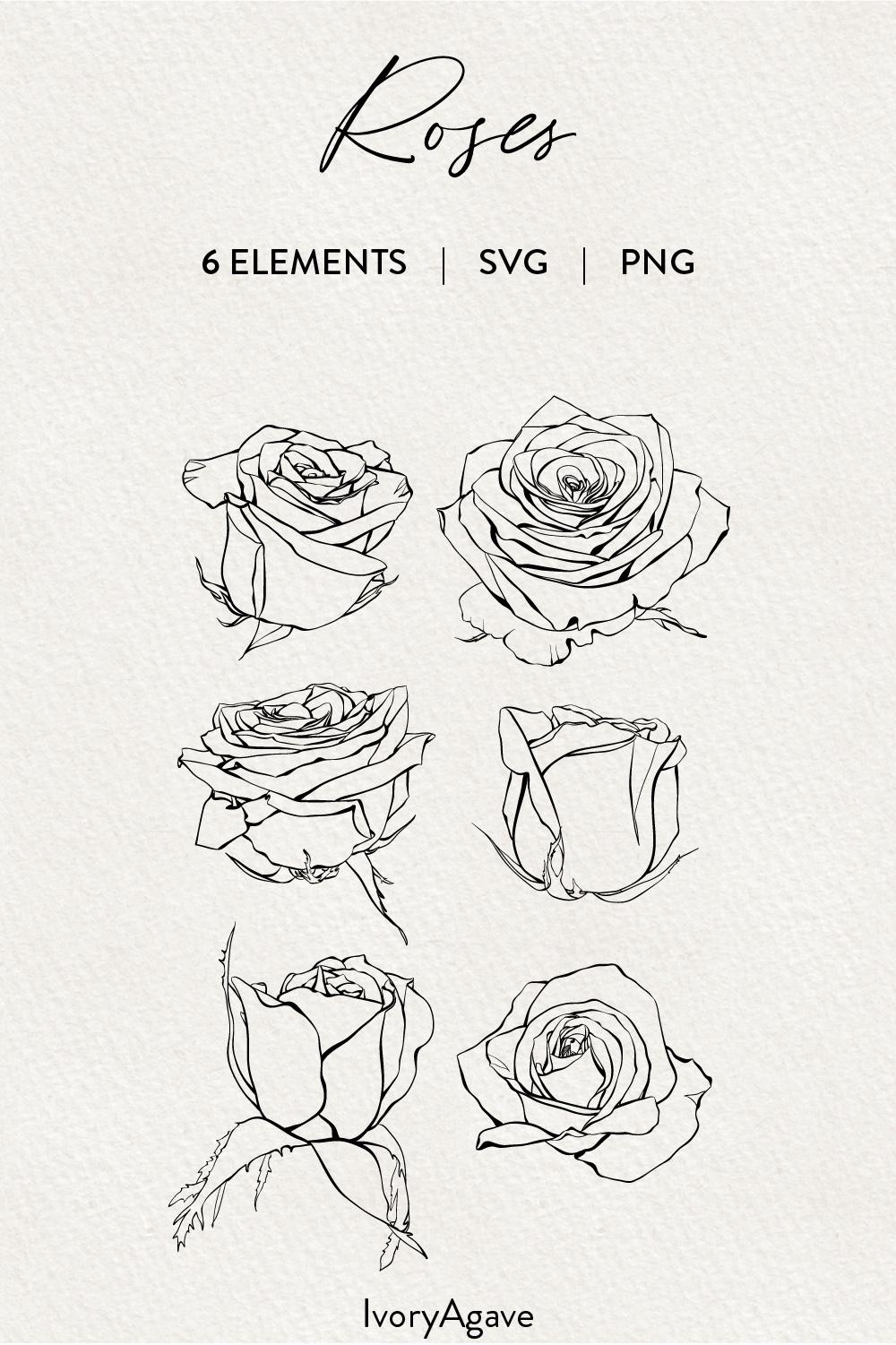 Valentine Rose Line Art Clipart Botanical Flower Hand Drawn ...