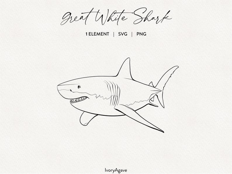 Great White Shark Line Art Drawing Graphics Ocean Summer Sea Life ...