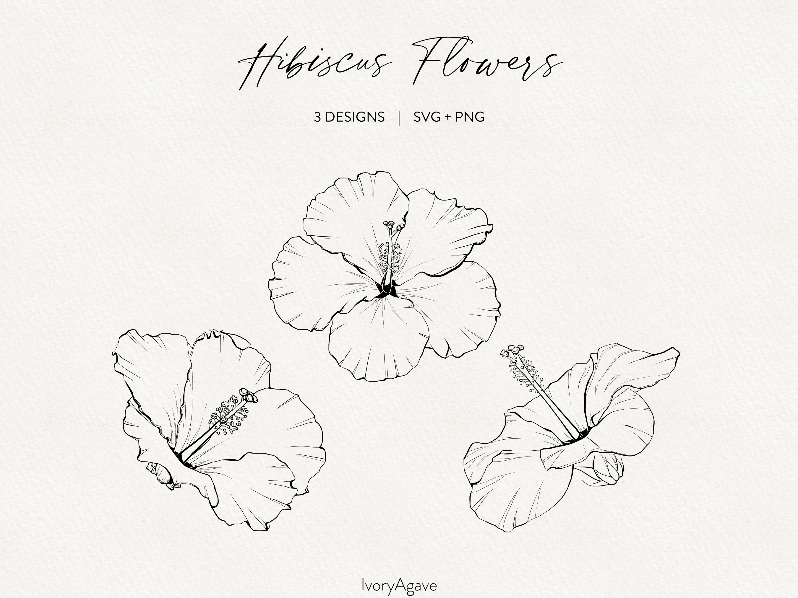 Hibiscus Flowers Line Art Clipart Summer Tropical Botanical - Etsy