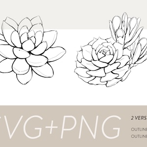 Succulent Garden Line Art Clipart | Summer Botanical Flower Hand Drawn ...
