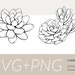 Succulent Garden Line Art Clipart | Summer Botanical Flower Hand Drawn ...