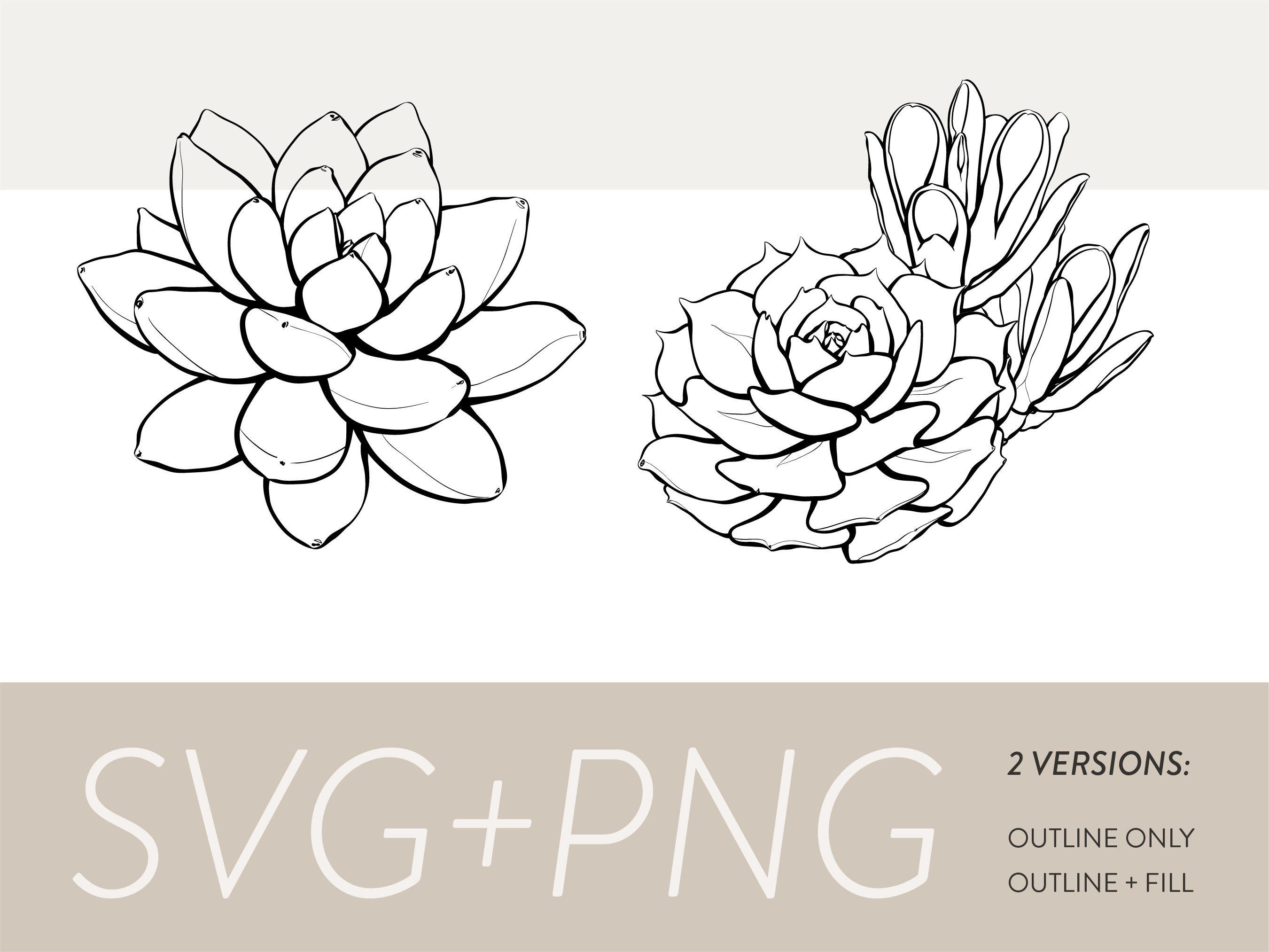 Succulent Garden Line Art Clipart | Summer Botanical Flower Hand Drawn ...