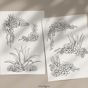Succulent Garden Line Art Clipart | Summer Botanical Flower Hand Drawn ...
