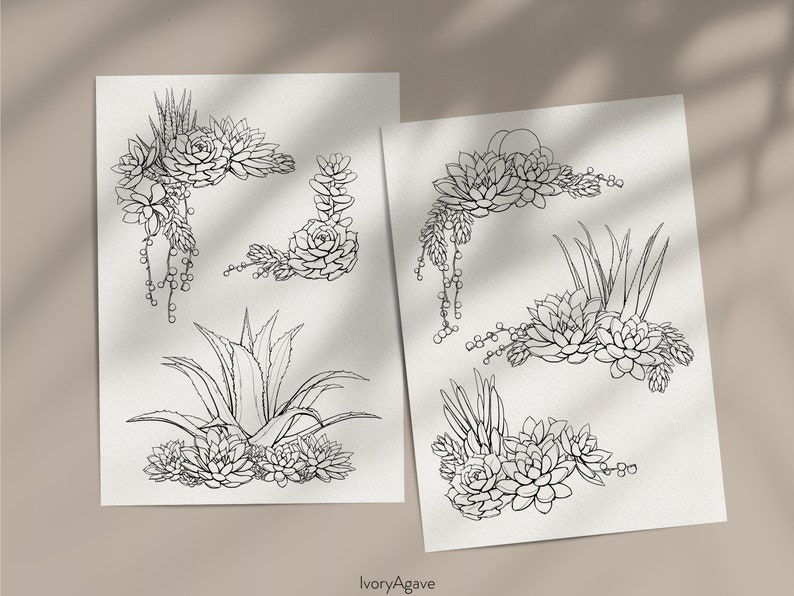 Succulent Garden Line Art Clipart | Summer Botanical Flower Hand Drawn ...