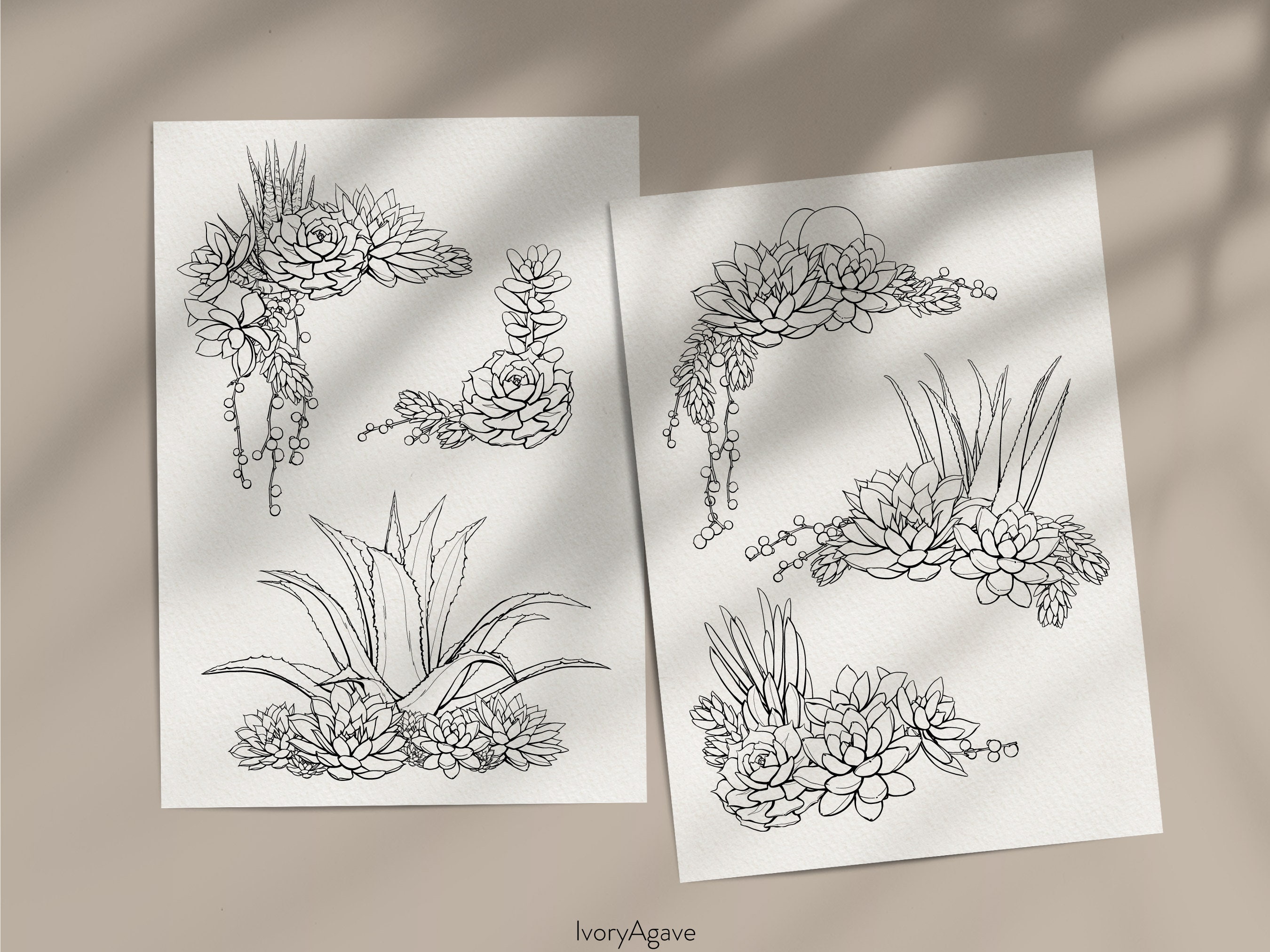 Succulent Garden Line Art Clipart | Summer Botanical Flower Hand Drawn ...