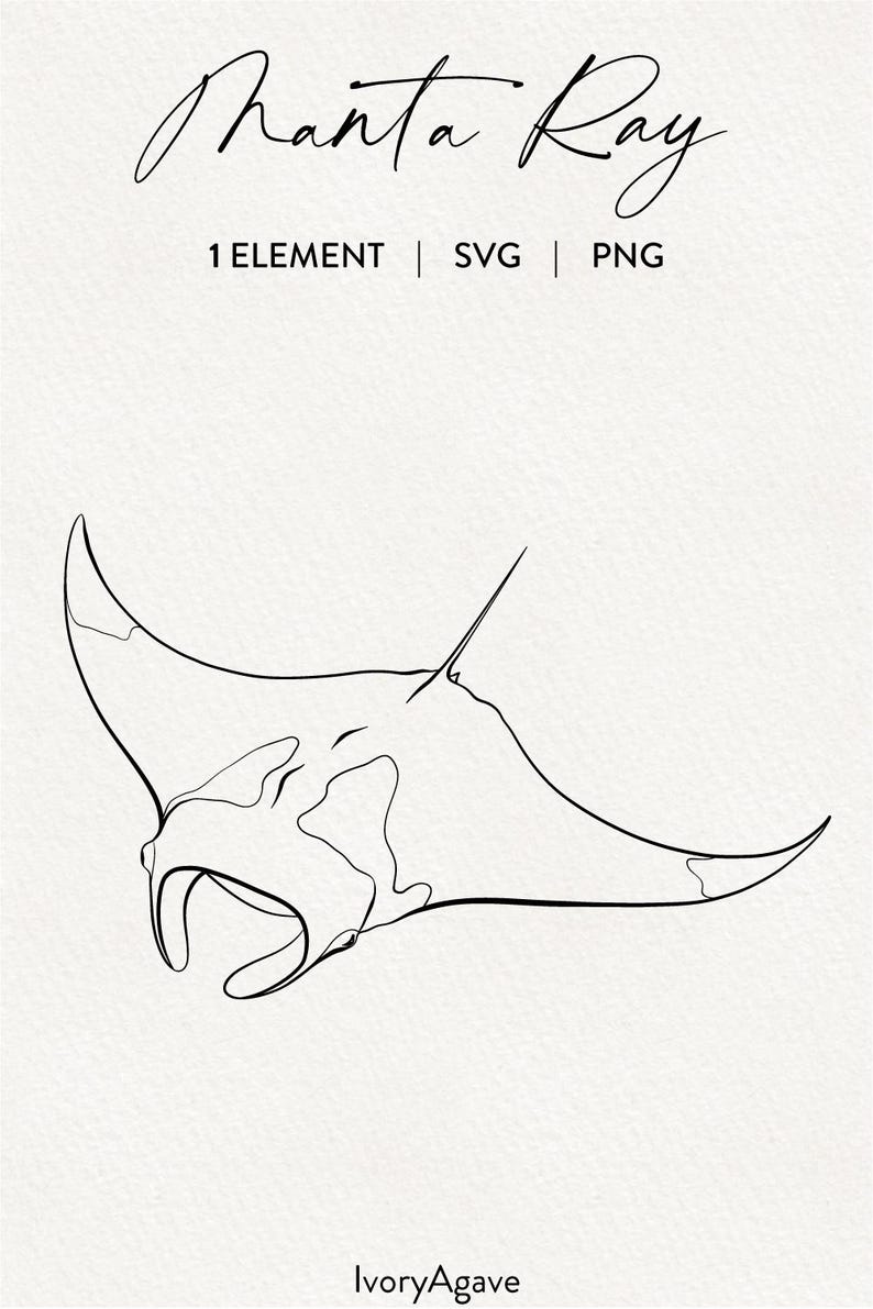 Manta Ray Line Art Drawing Graphics Ocean Summer Sea Life Hand Drawn ...