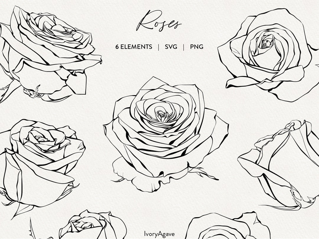 Rose Line Art Clipart | Botanical Flower Hand Drawn Illustration ...