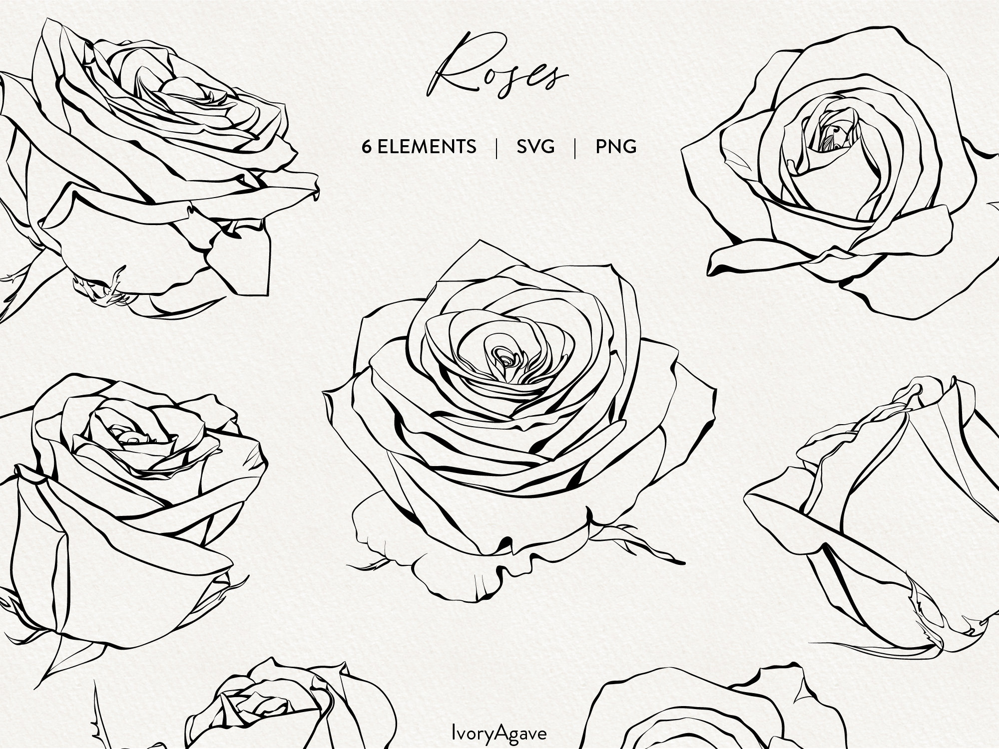 Rose Line Art Clipart | Botanical Flower Hand Drawn Illustration ...