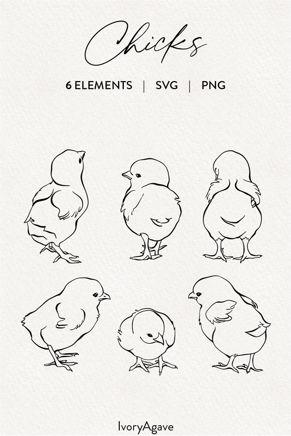 Cute Baby Chicks Line Art Clipart Modern Spring Easter Hand Drawn ...