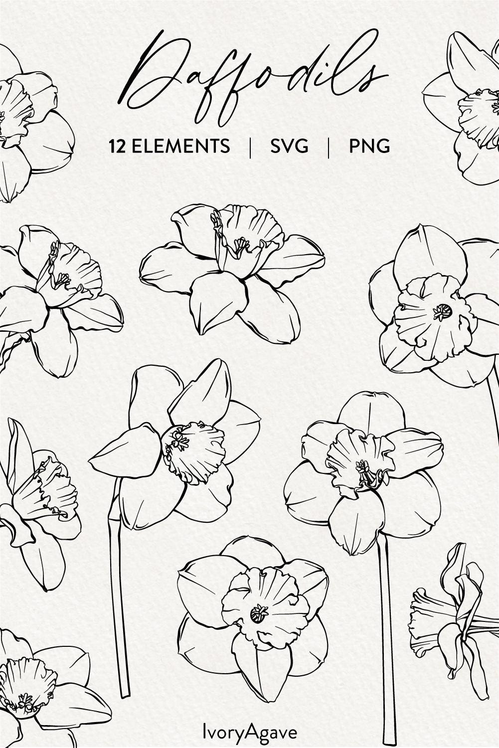 Daffodil Flowers Line Art Illustration Modern Graphic Spring Floral ...