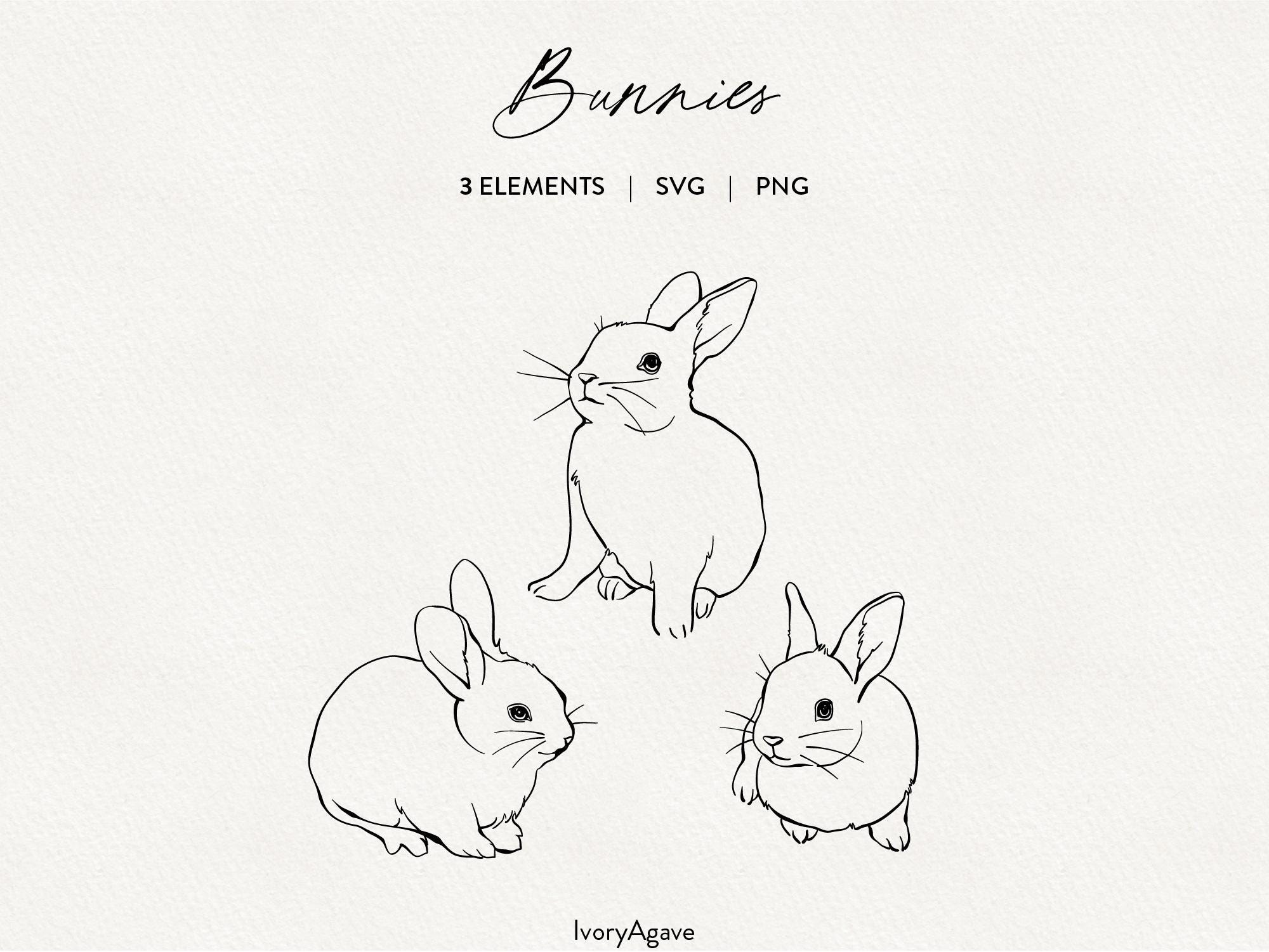 Cute Baby Bunnies Line Art Clipart Modern Spring Easter Hand Drawn ...