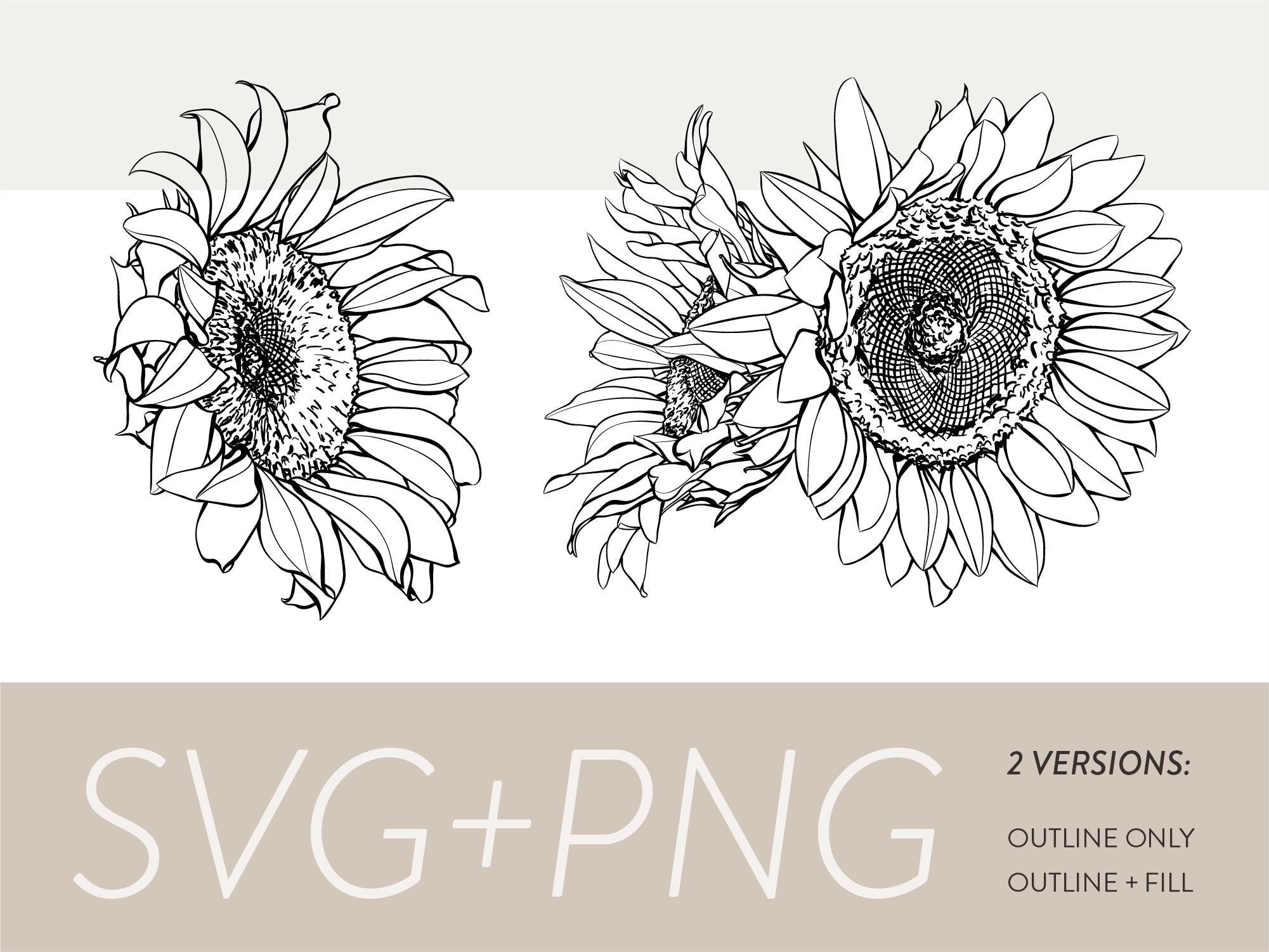 Sunflowers Line Art Clipart | Hand Drawn Floral Botanical Vector | Fine ...