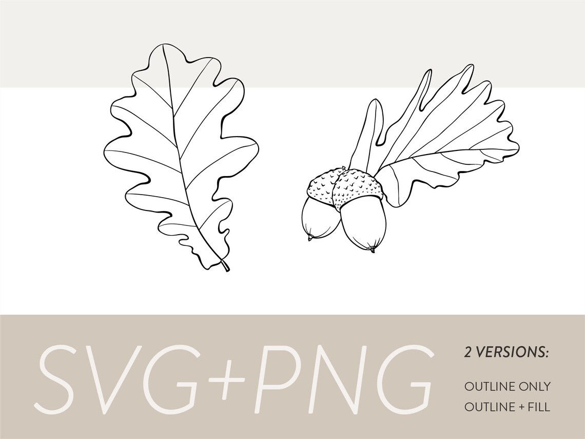Fall Foliage Oak Leaves Line Art Clipart | Hand Drawn Vector | Fine ...