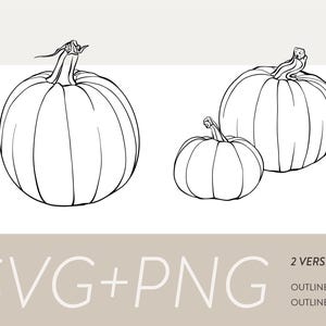 Fall Pumpkins Line Art Clipart | Hand Drawn Vector | Autumn Fine Line ...