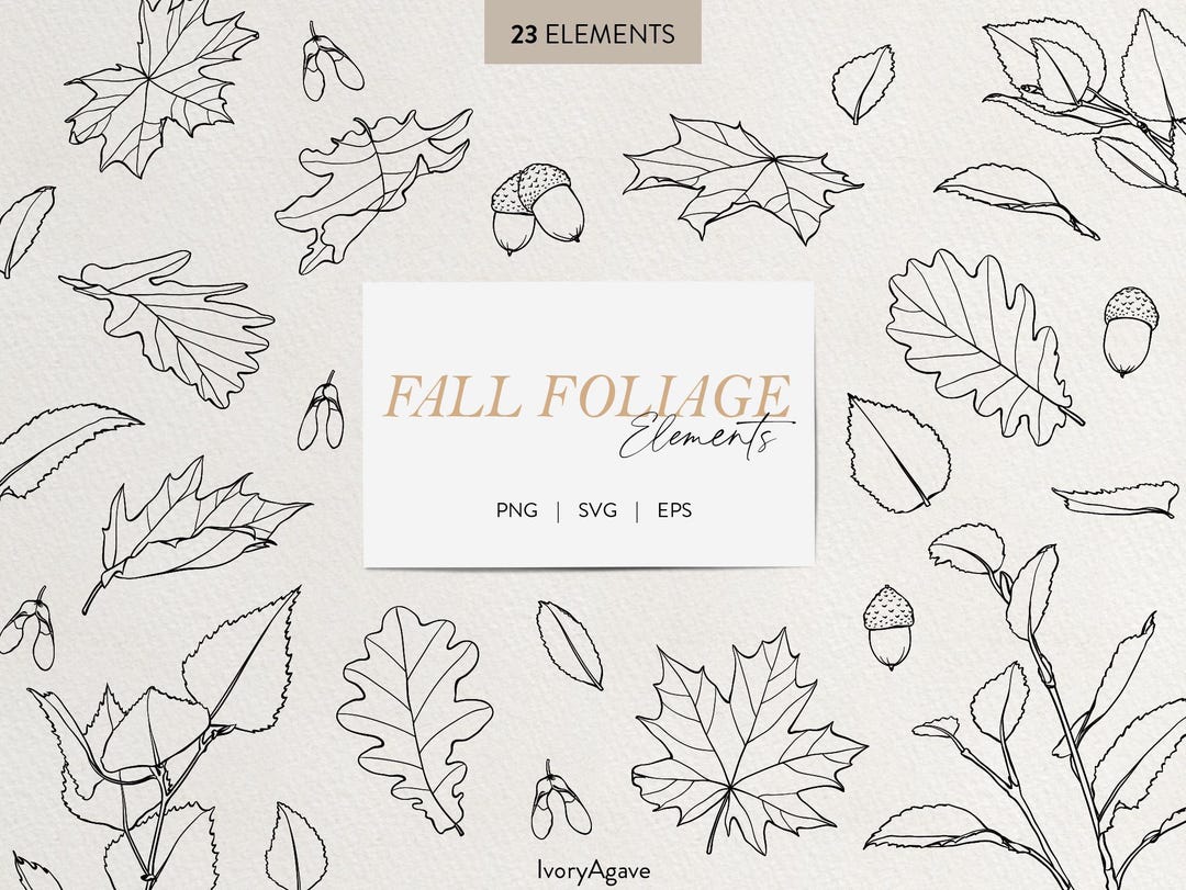 Fall Foliage Oak Birch Maple Leaves Line Art Clipart | Autumn Leaves ...