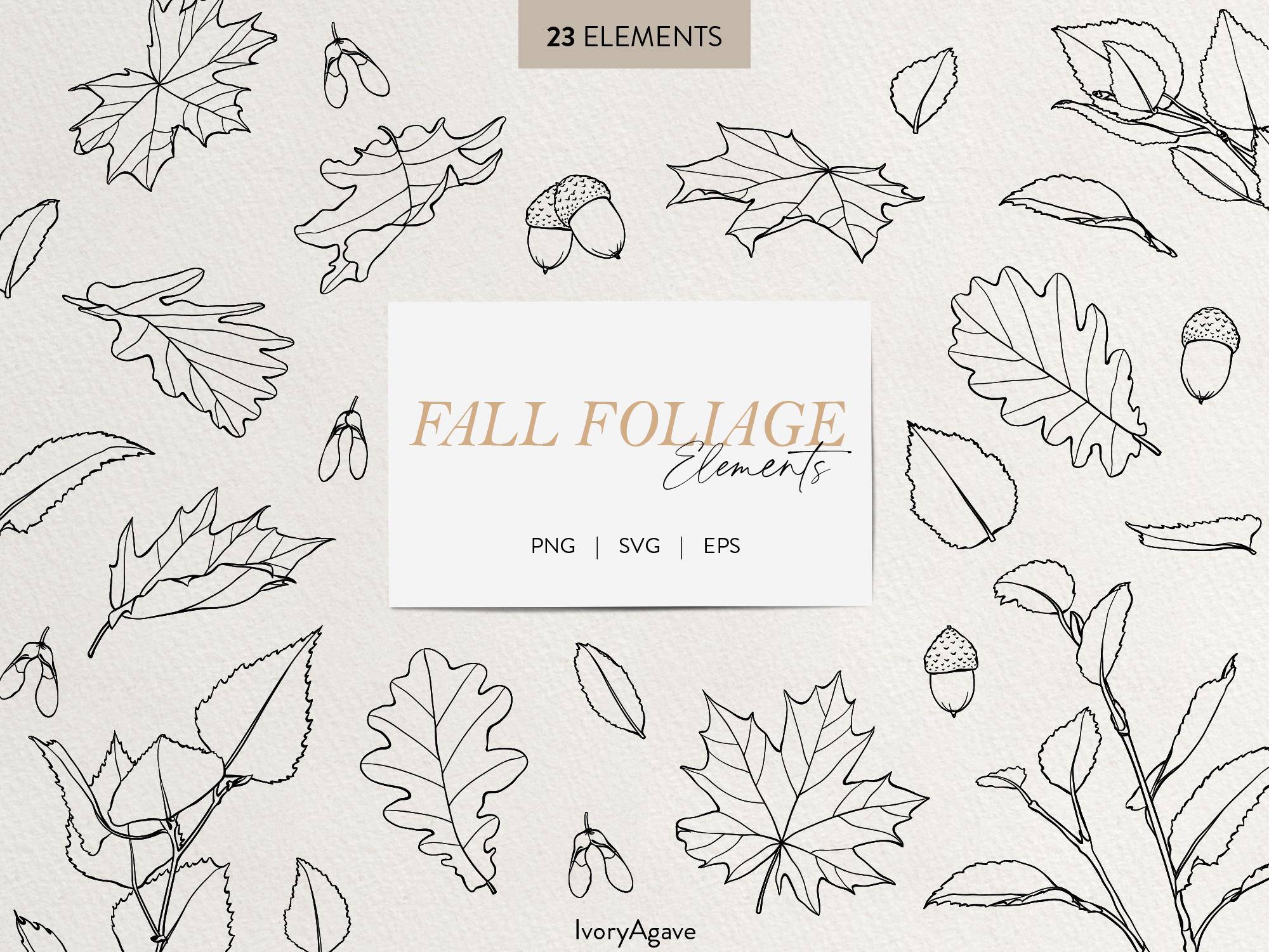 Fall Foliage Oak Birch Maple Leaves Line Art Clipart | Autumn Leaves ...