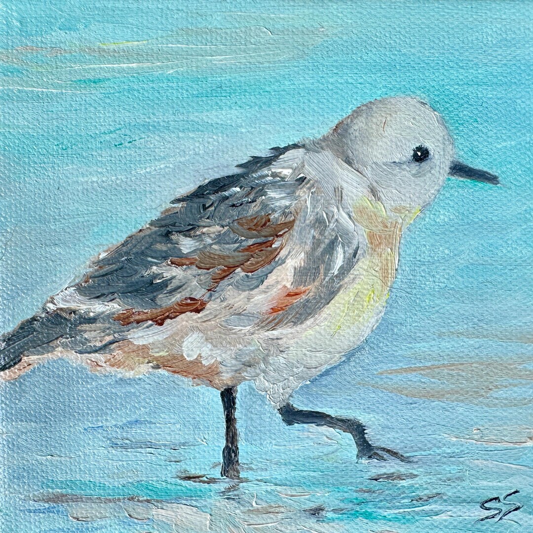 NATURE COLLECTION, Piper, Original Oil Painting - 5" X 5" - Etsy