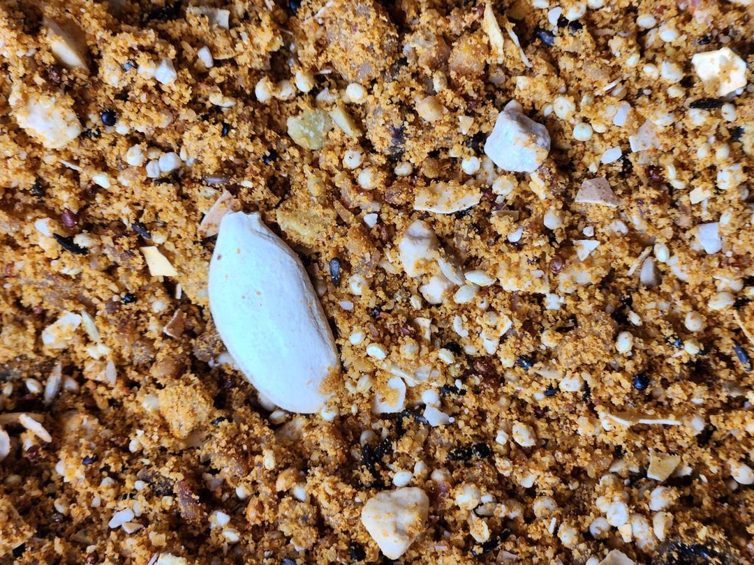 Deviled Egg Breakfast - Etsy