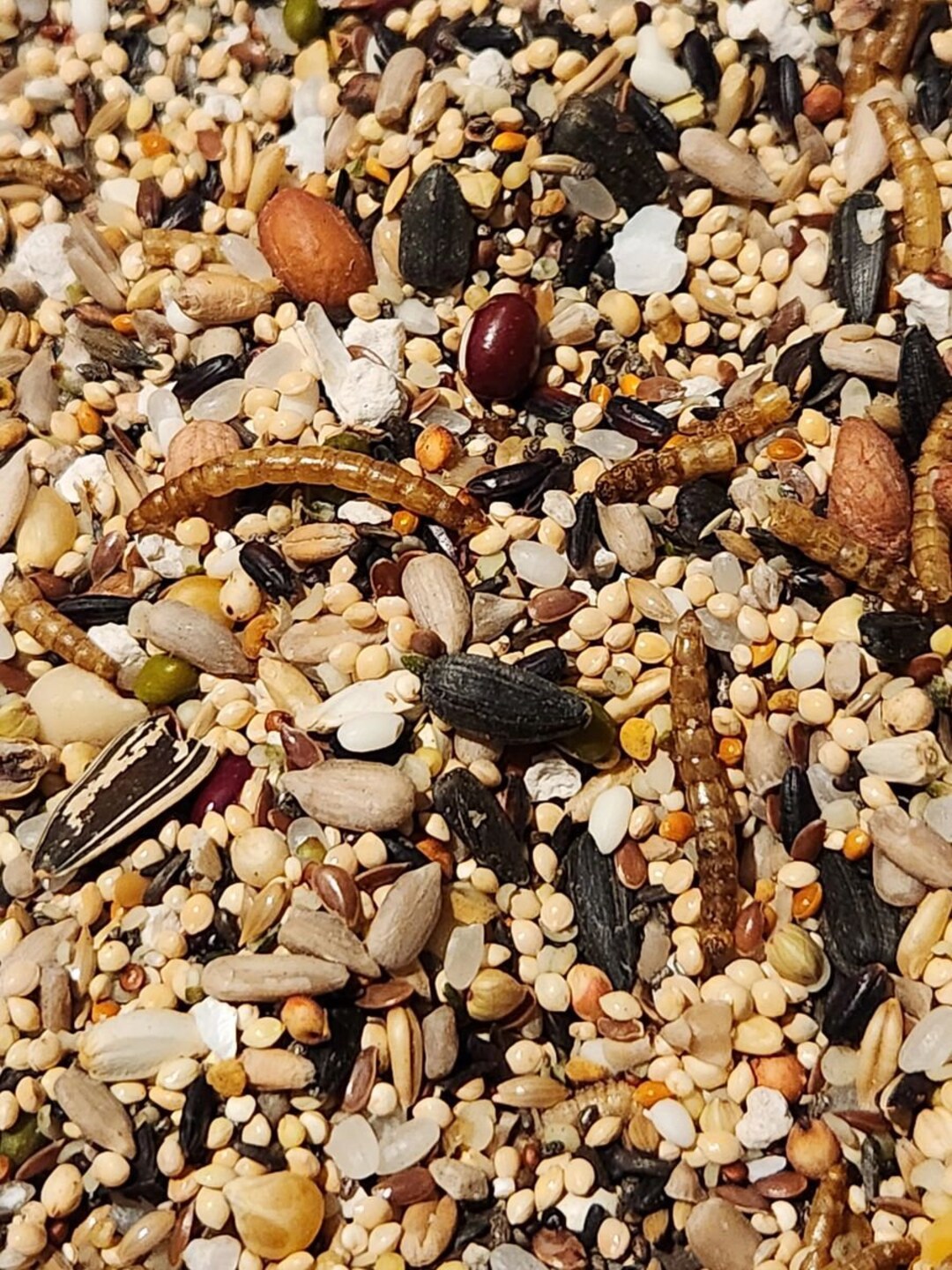 Harvest Grains - Etsy