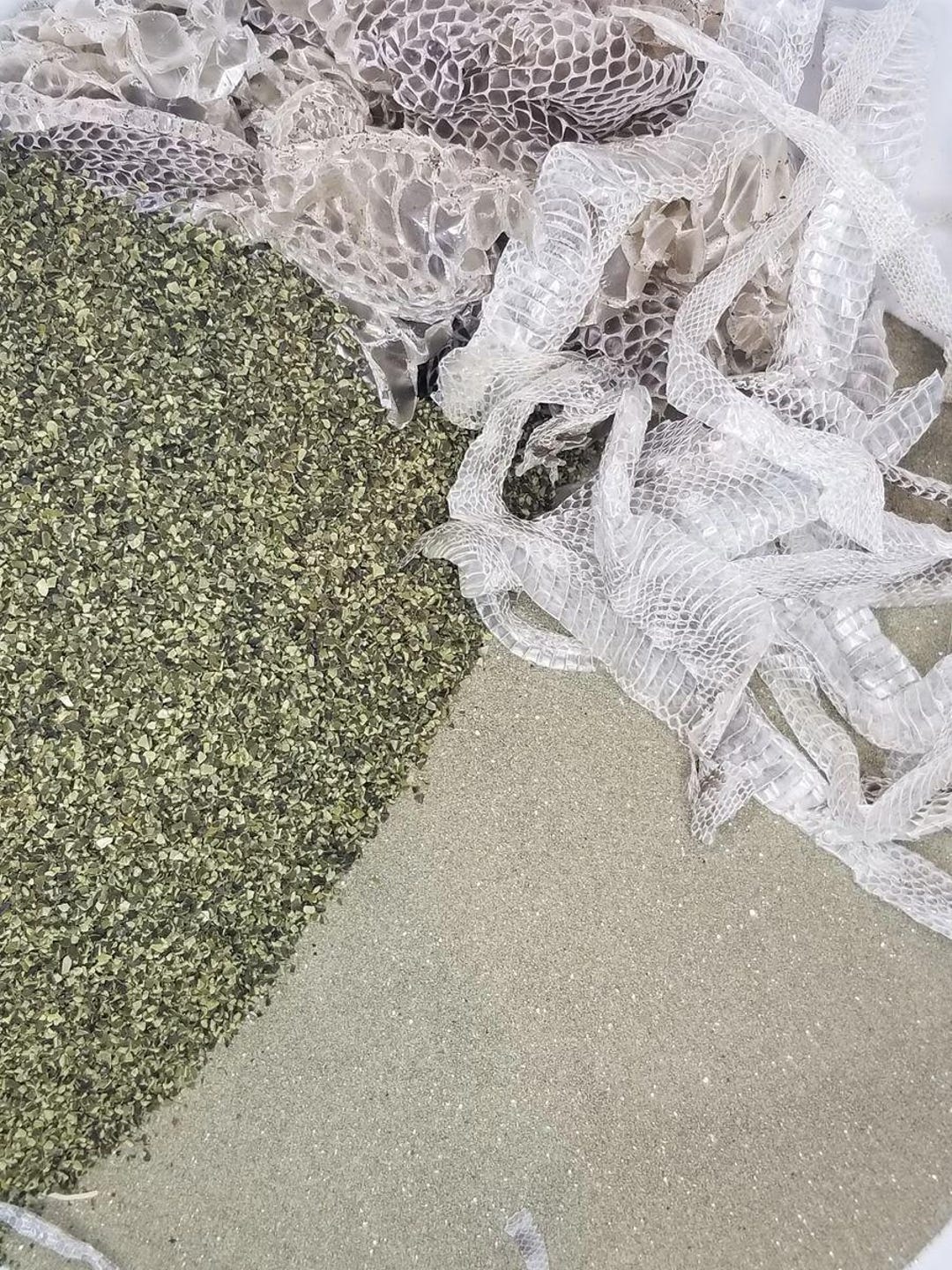 Medusa Mix Greensand for Hermit Crabs - Etsy