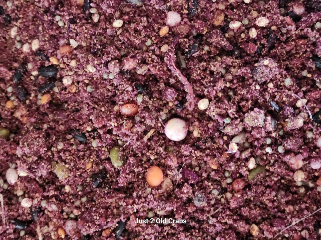 Purple Piggy Porridge - Etsy