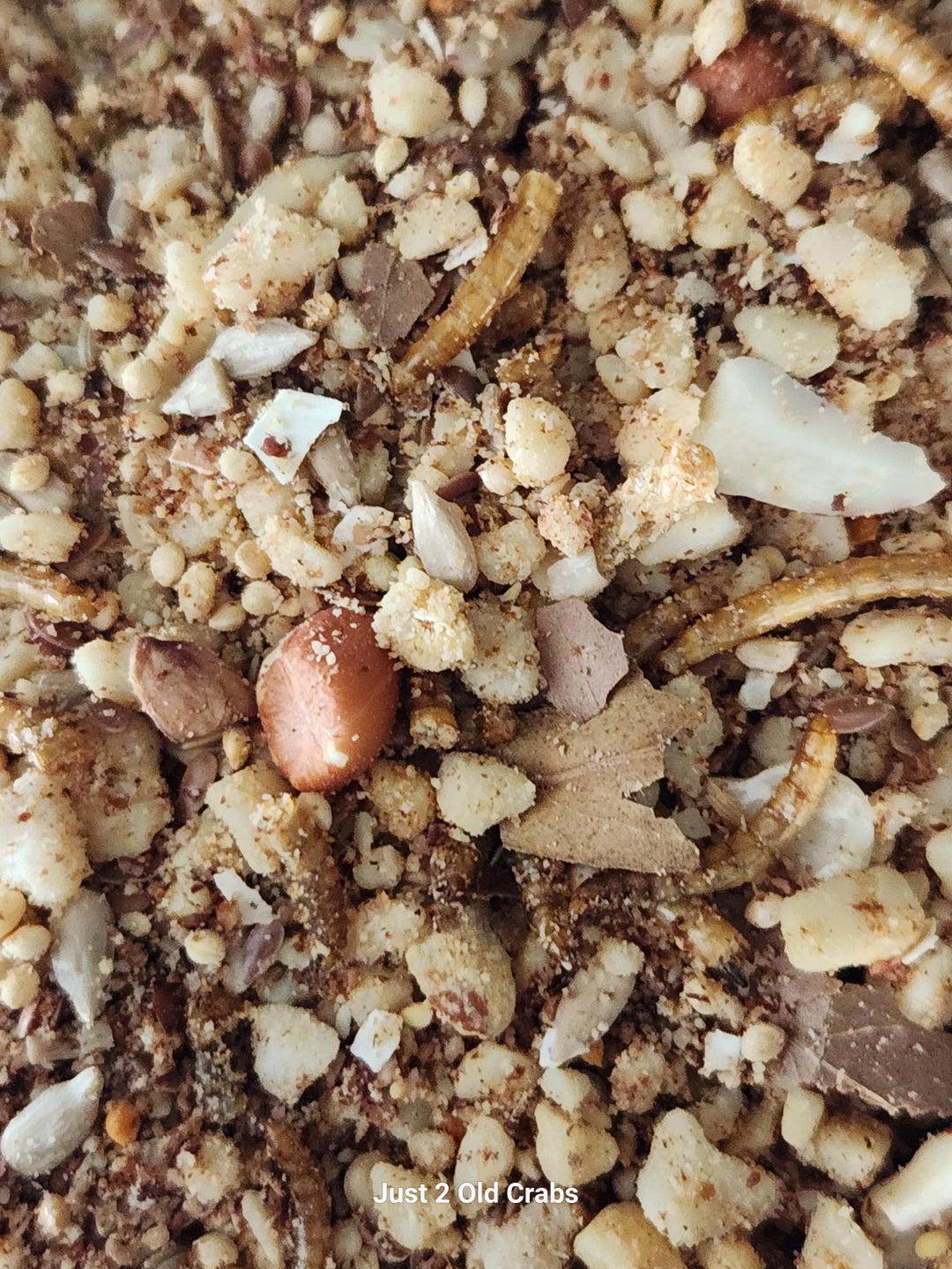 PB Cookie Crumbles for Hermit Crabs - Etsy