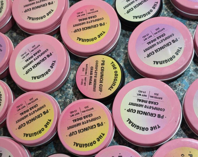 10 Mini Natural Starfish | Hermit Crab Food - Etsy